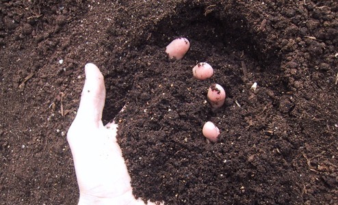 Tout savoir pour réussir sa culture sous serre - Les conseils d'Atout ...